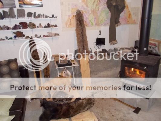 Canadian Trappers Talk Forum • View topic - Life's Good